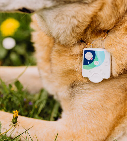 Healy World - Holistic Health and Wellbeing Solutions